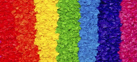 Los colores que más venden – 38 Consumer